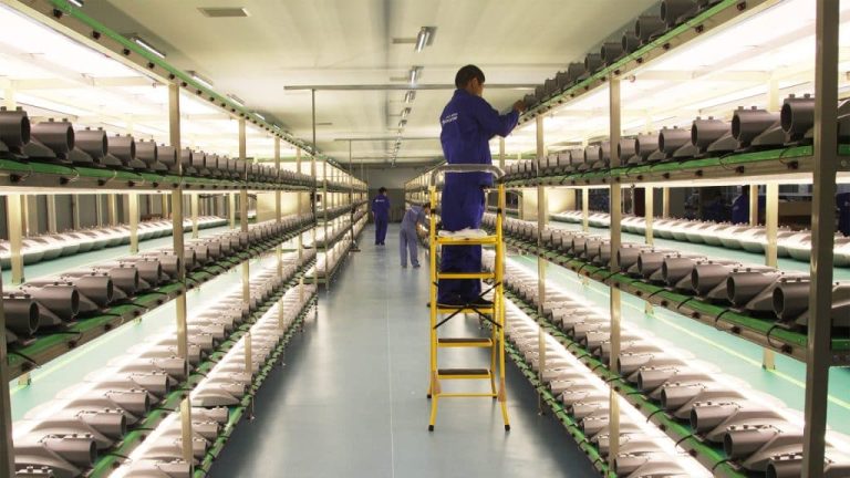 Солнечный уличный светильник | Производитель & Factory | ZGSM